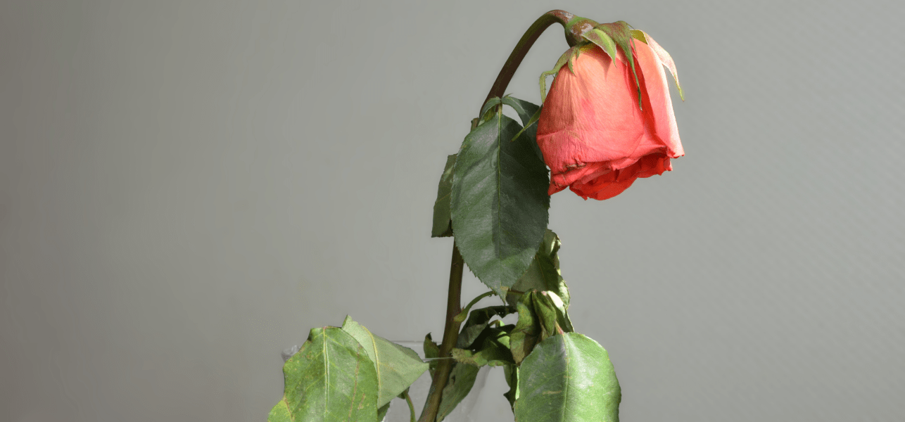 Menopause symptoms and treatment using BHRT | Mega Aid Compounding Pharmacy